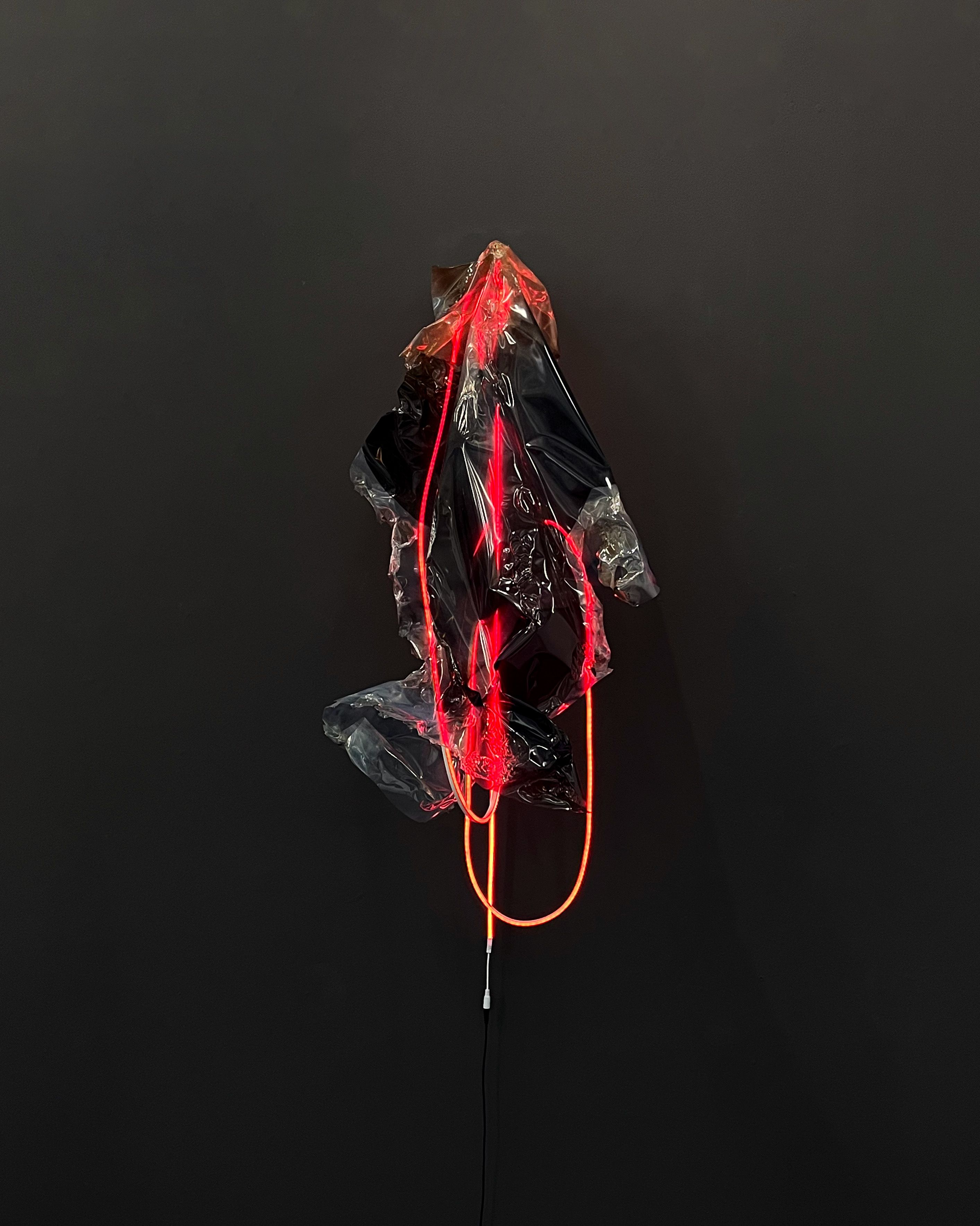 Class of 2024 Senior Portraits | School of the Art Institute of Chicago