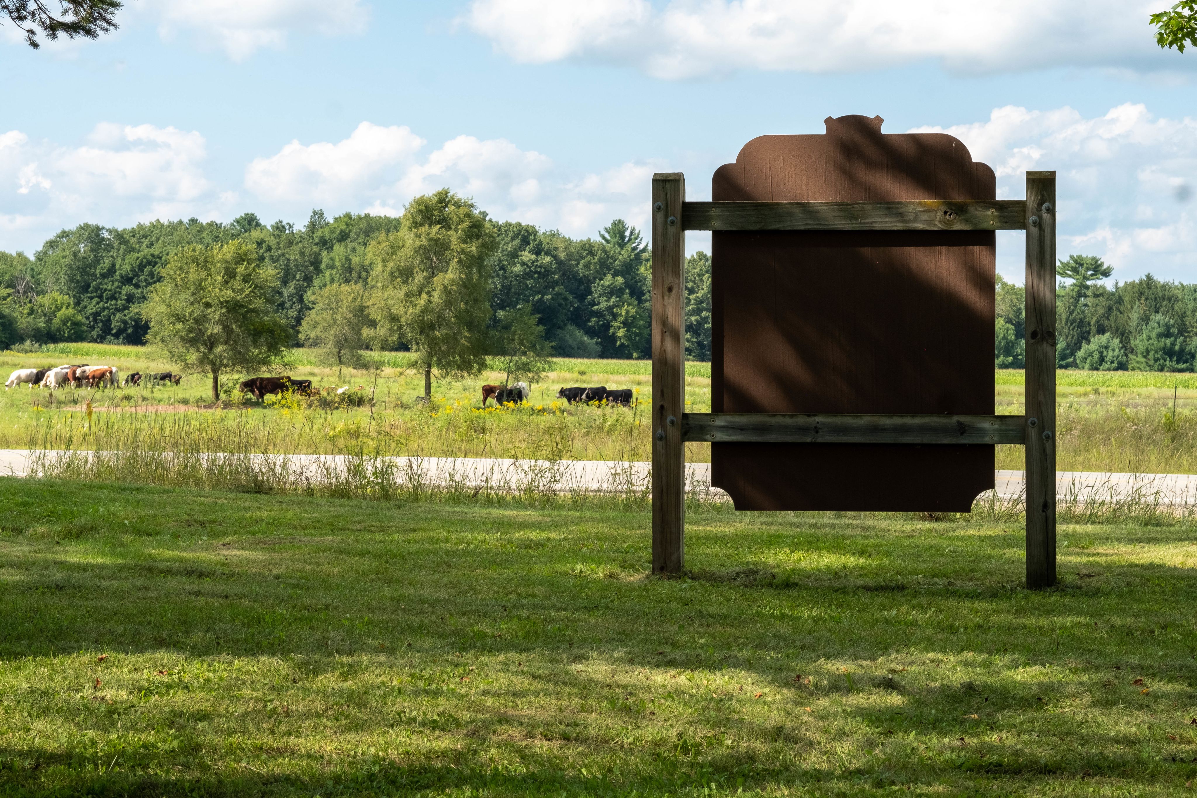 The Richness of Poor Farm | School of the Art Institute of Chicago