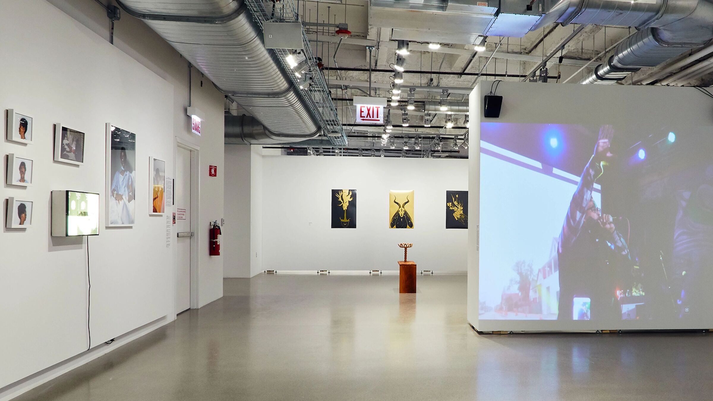 Professional Practice Experience | SAIC