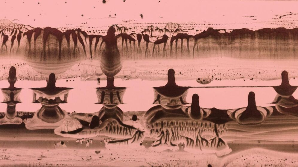 Three SAIC Community Members Named Artists to Watch in the New York Times