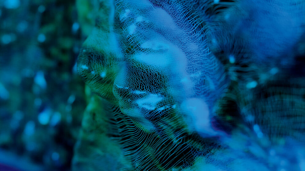 Next Steps for Undergraduate Admitted Students | SAIC