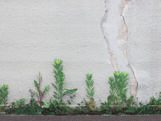 Maria Gaspar | School of the Art Institute of Chicago