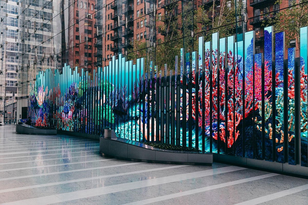 Marlena Novak's Coral Reef 3D Animation Featured on WTTW | School of ...