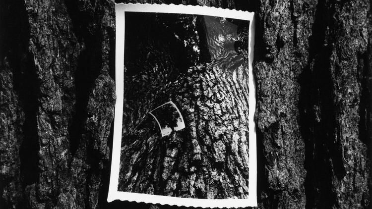 Kenneth Josephson: The Man Who Pioneered Contemporary Photography and ...